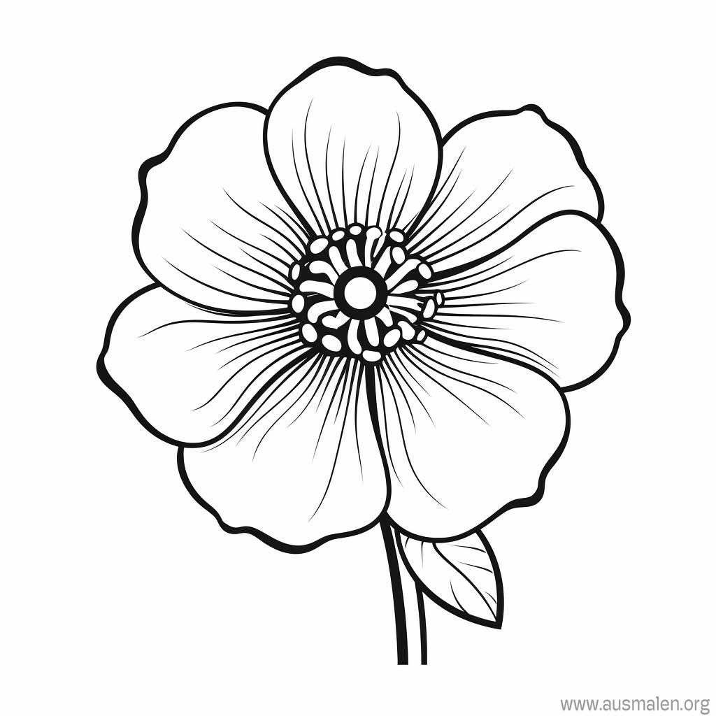 Ausmalbilder Blumen zum Ausdrucken - Kostenlose Malvorlagen